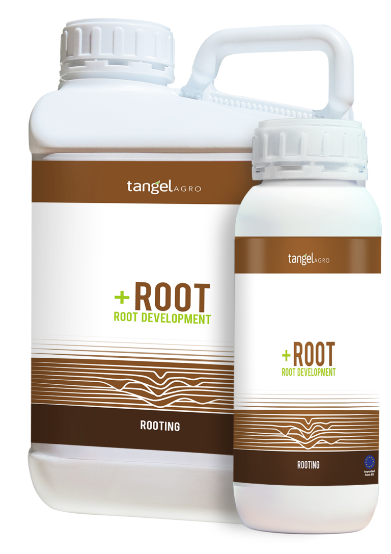 Root Development Solutions | Tangel Agro